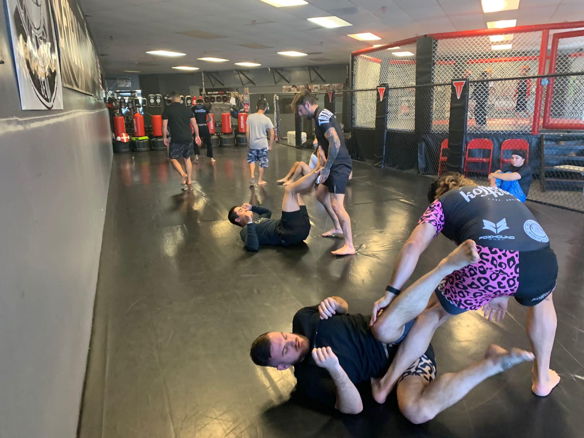 Local Spotlight: Fight Syndicate | Hyperwolf