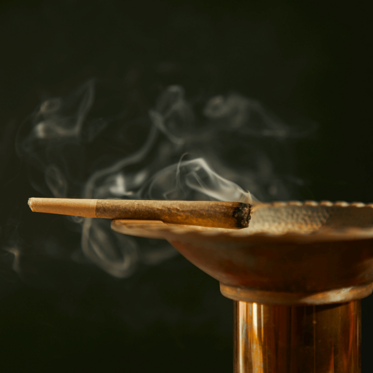 Explore the Role of Myrcene Terpene in Cannabis Strains