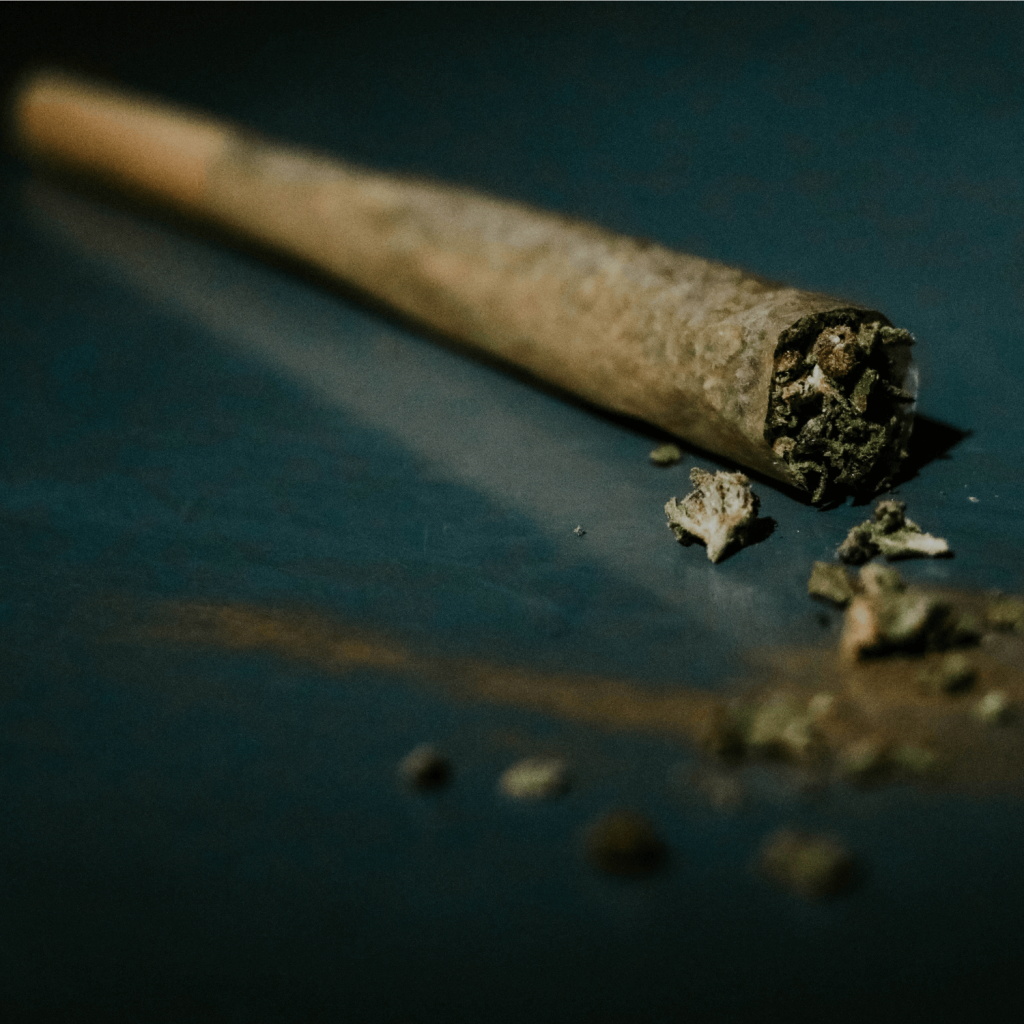 Explore the Role of Myrcene Terpene in Cannabis Strains