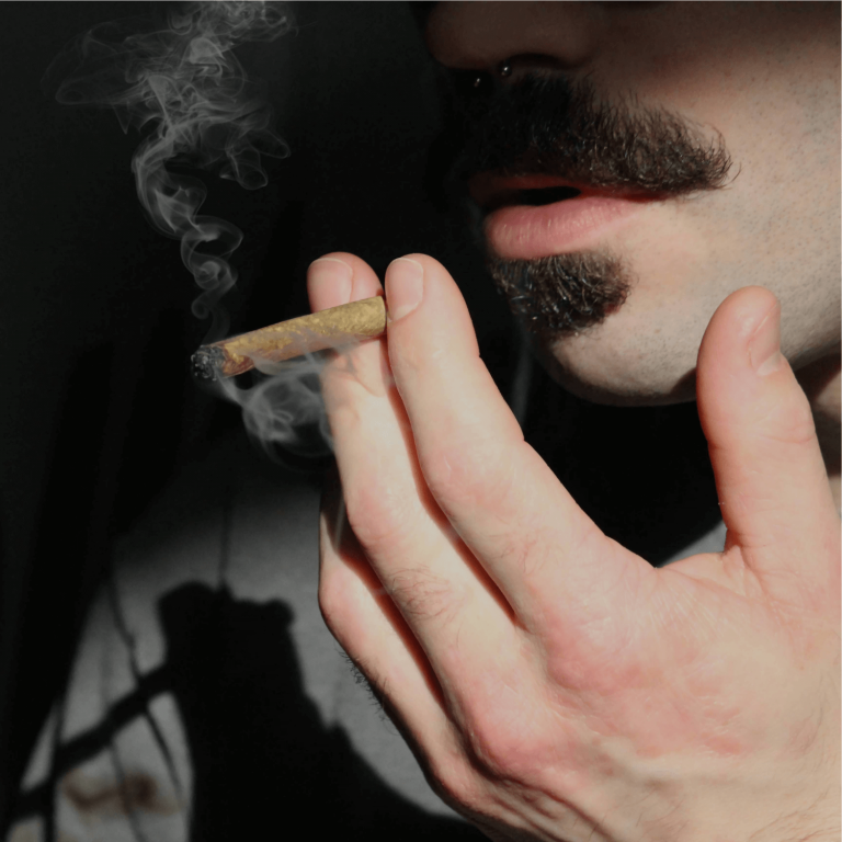 The Complete Guide - Cannabis Cup Winners, Brands, & More