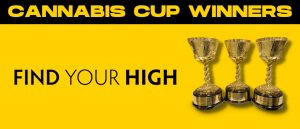 The Complete Guide - Cannabis Cup Winners, Brands, & More