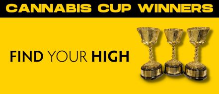 The Complete Guide - Cannabis Cup Winners, Brands, & More