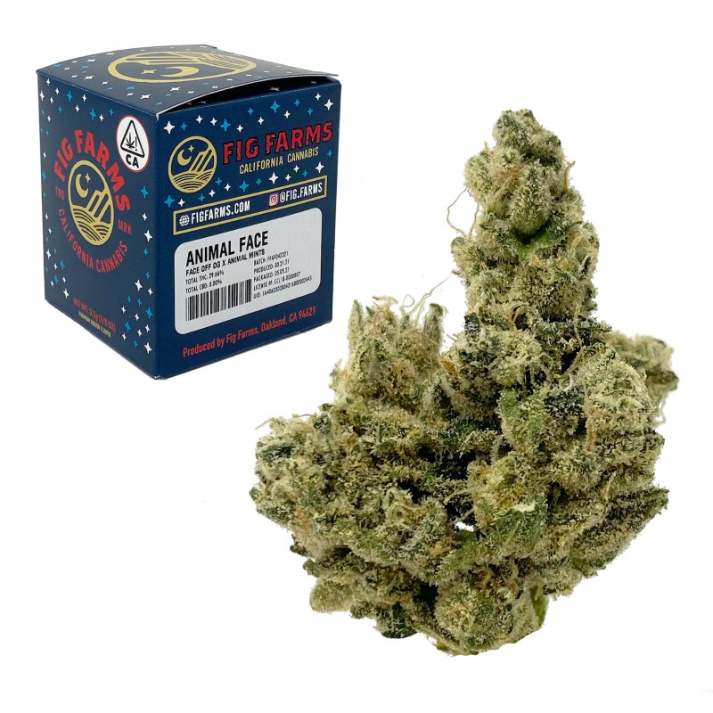 Hyperwolf June Drop Calendar | Hyperwolf