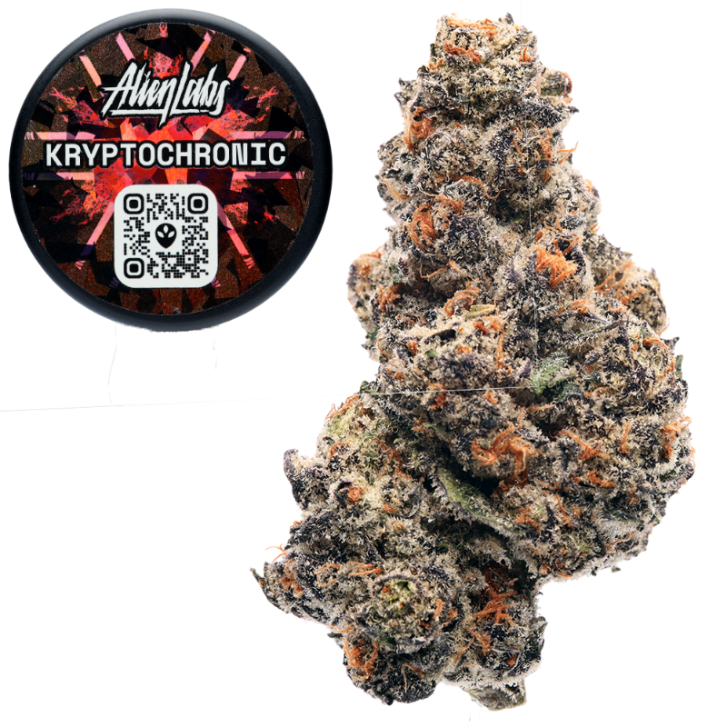 Hyperwolf July Drop Calendar | Hyperwolf