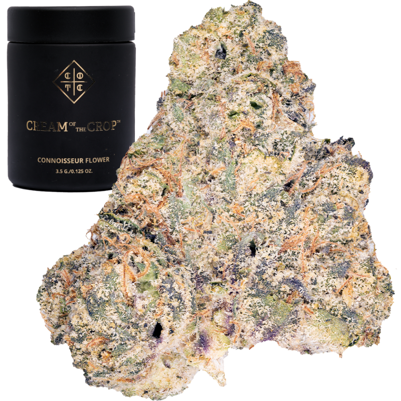 Hyperwolf August Drop Calendar | Hyperwolf