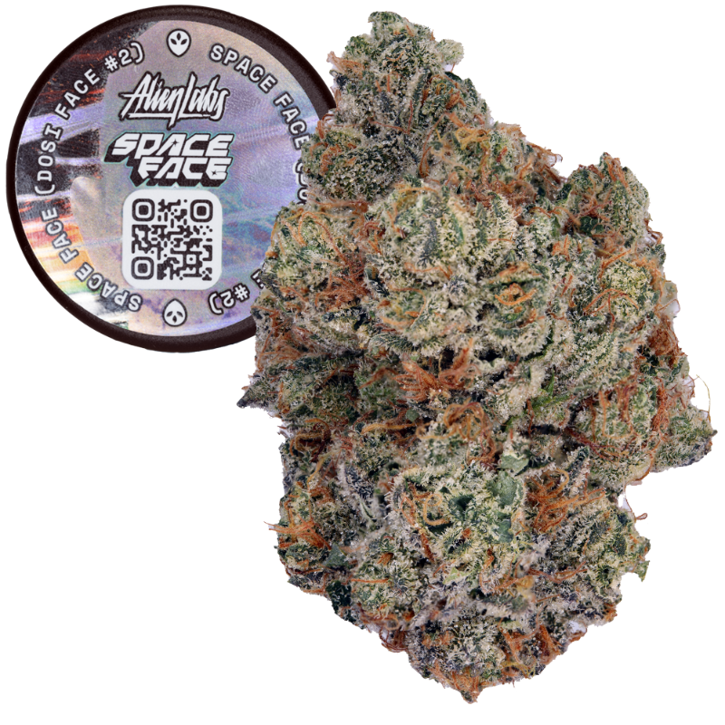 Hyperwolf August Drop Calendar | Hyperwolf