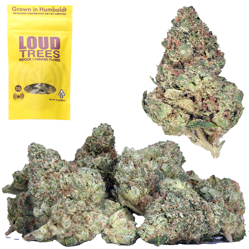 Hyperwolf August Drop Calendar | Hyperwolf