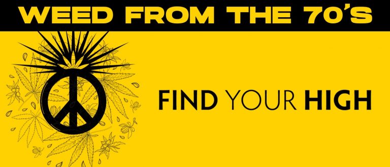 Rolling into the Past: A Look Back at Weed from the 70s