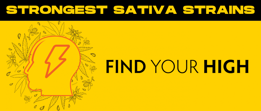 Ranking The Strongest Sativa Strains of 2023