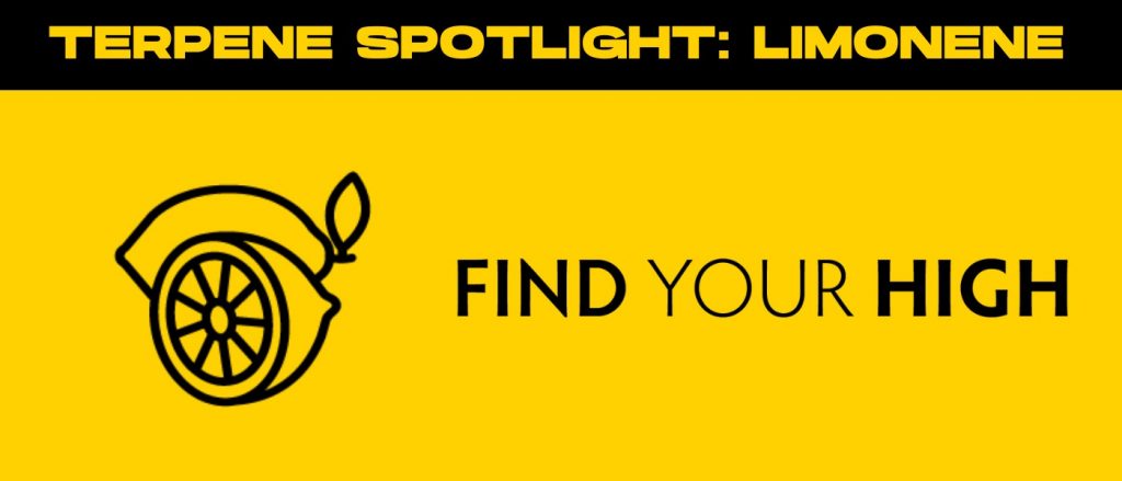 Terpene Spotlight: Limonene Terpene Effects