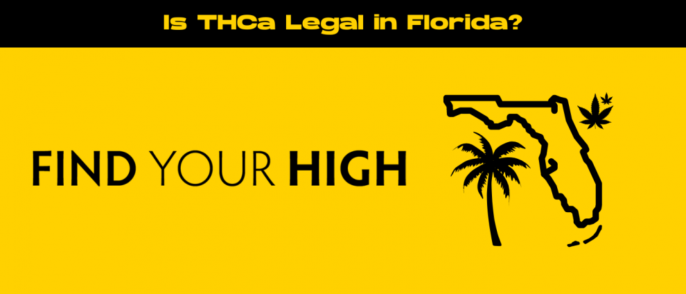 Is THCa Legal in Florida? The Sunshine State’s Take on THCa