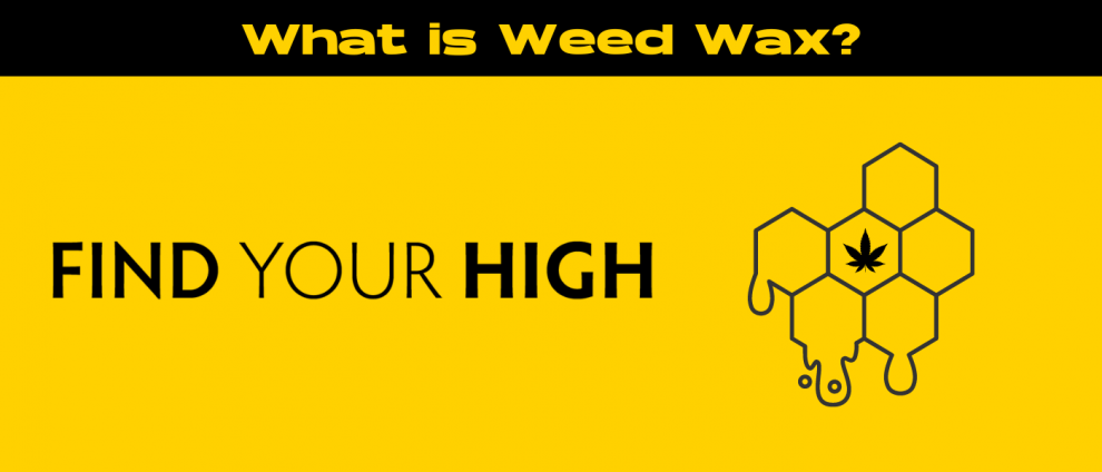 What is Weed Wax? A Stoner's Guide
