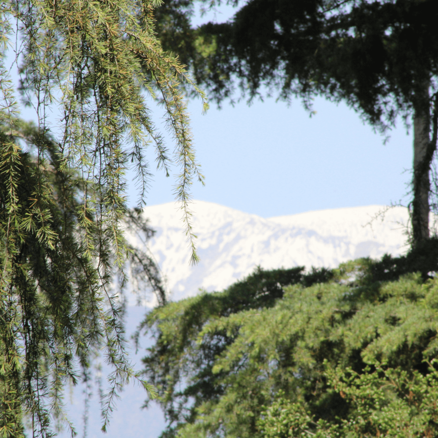 Explore Pomona, California: A Vibrant City Guide