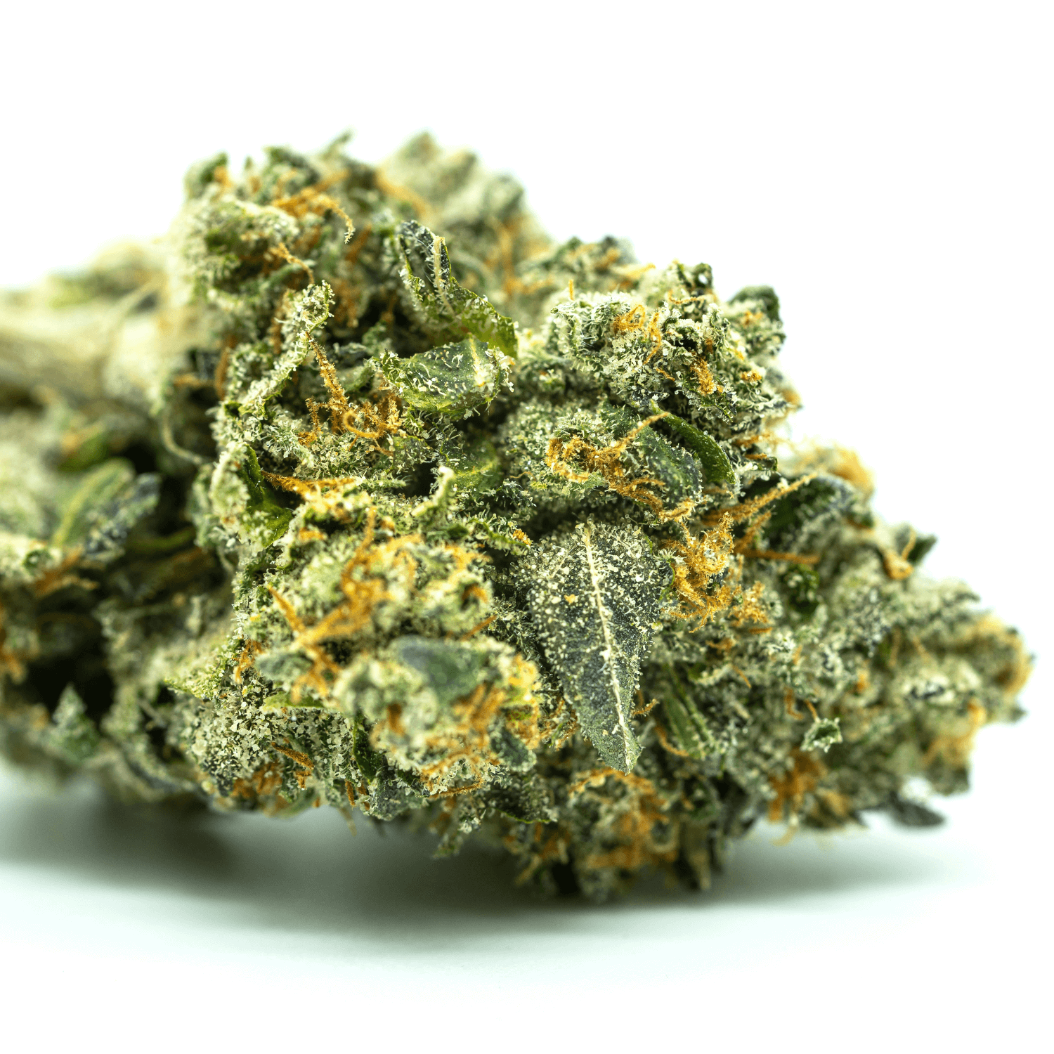 What is Moroccan Hash? Everything You Need to Know