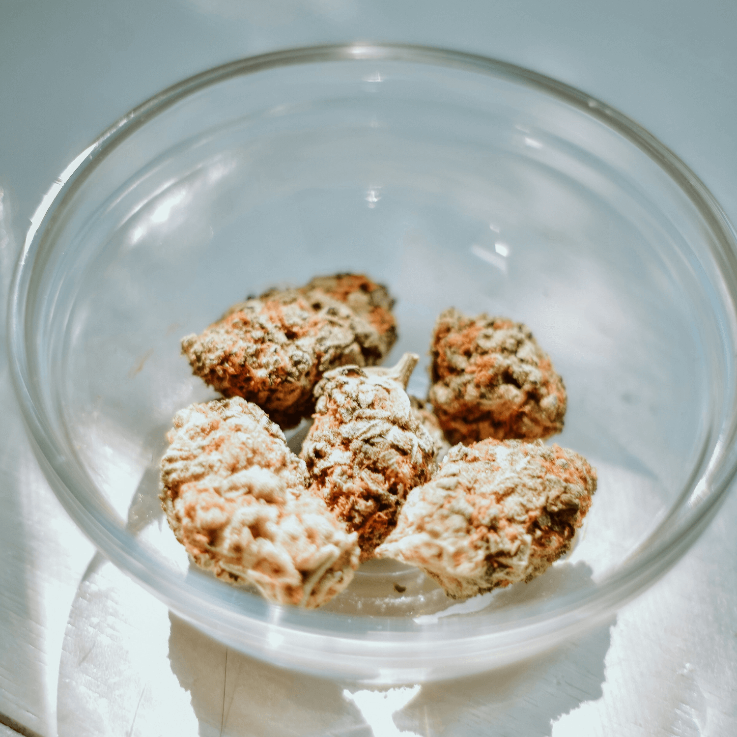 A Stoner’s Guide to Reggie Weed