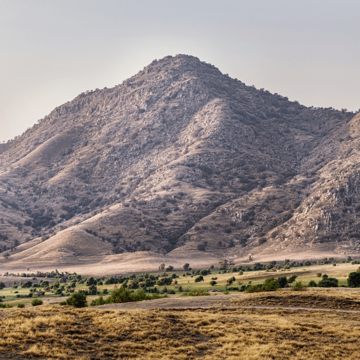 Discover Montclair California: Must-See Spots & More