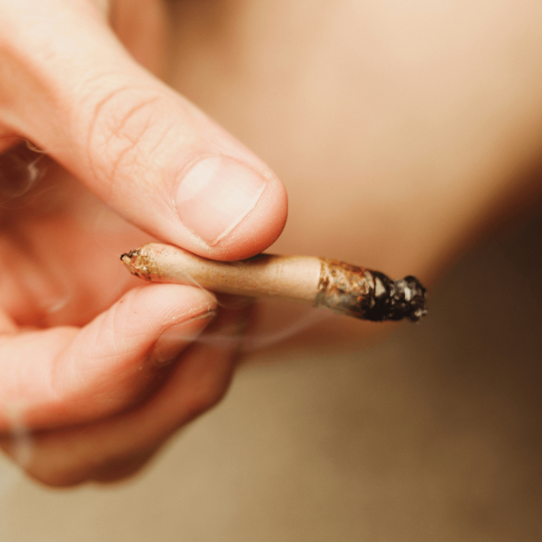 What Does Sativa Do to You? Unique Effects & Benefits